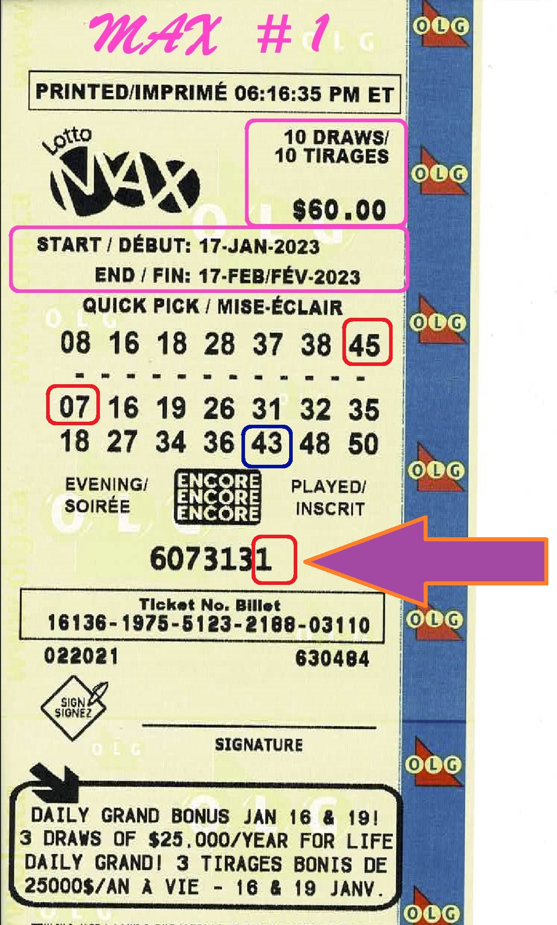 MAX - B & M Group Lotto